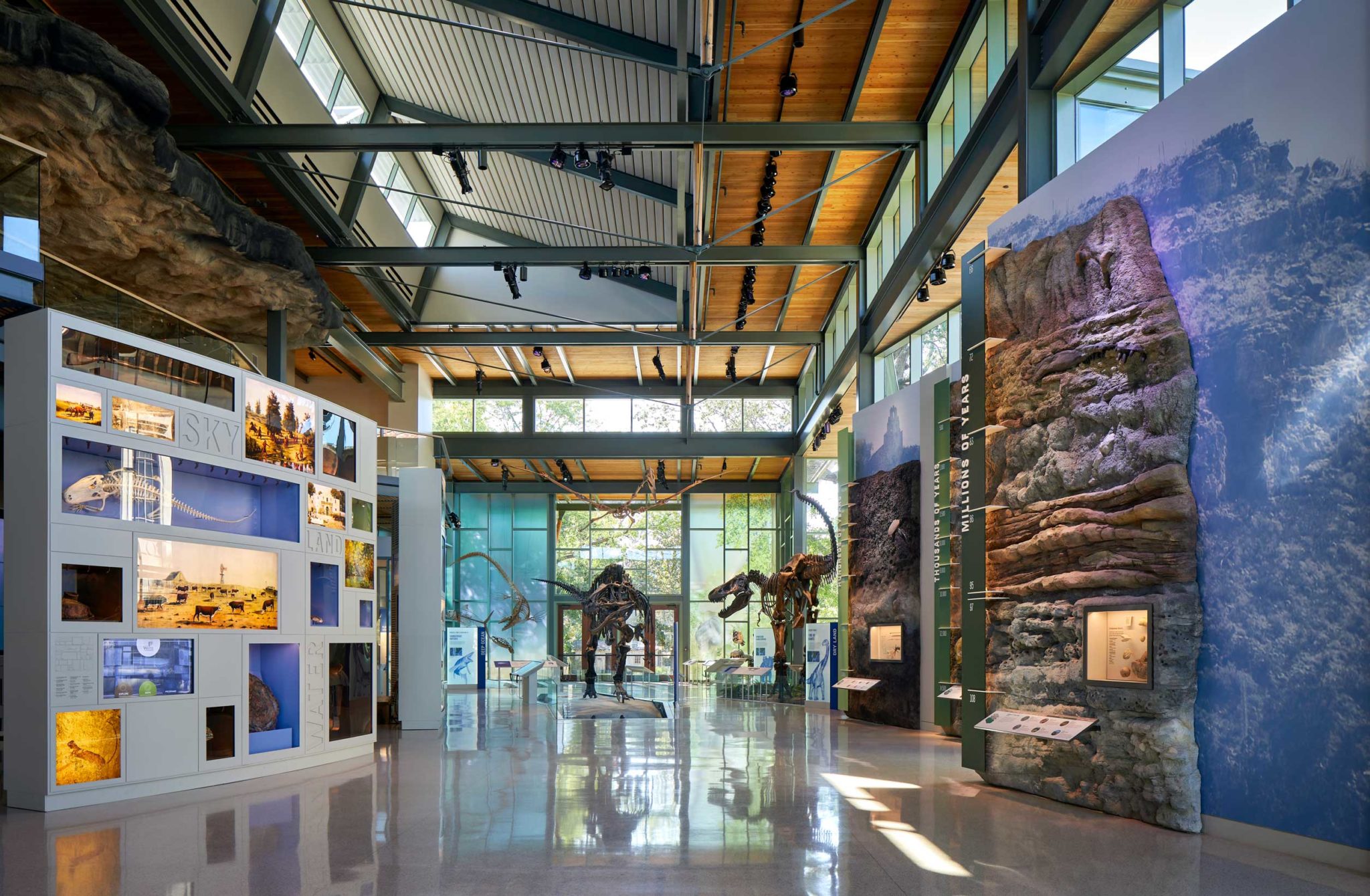 History - The Witte Museum