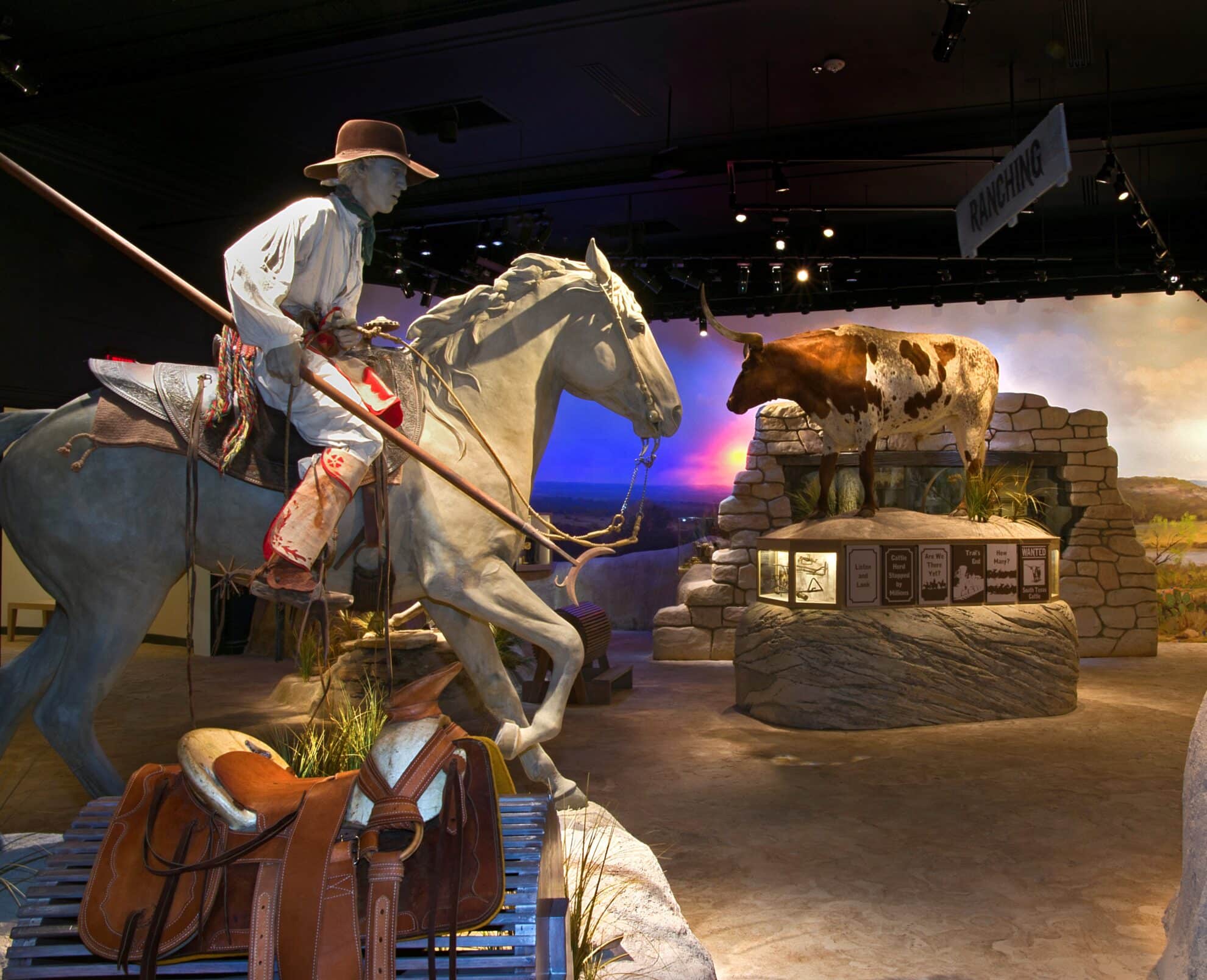 Exhibitions - The Witte Museum