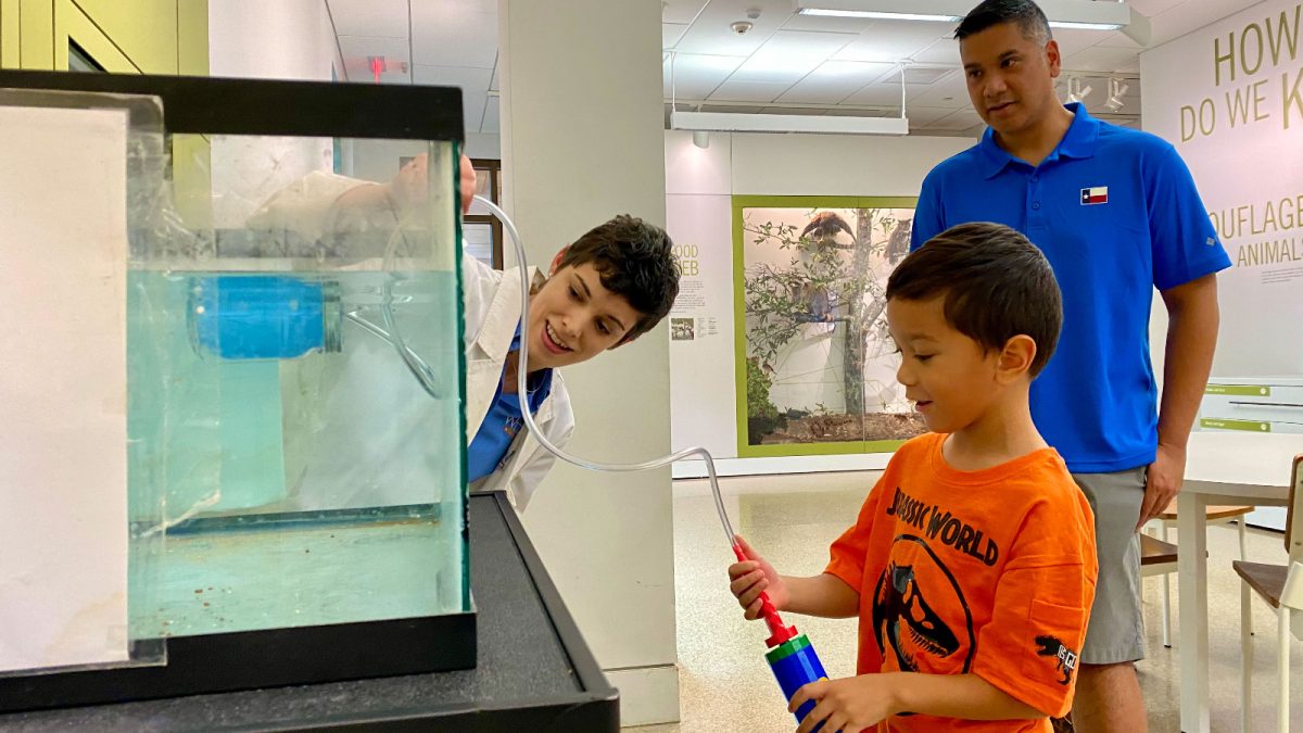 STEAM Sunday - The Witte Museum