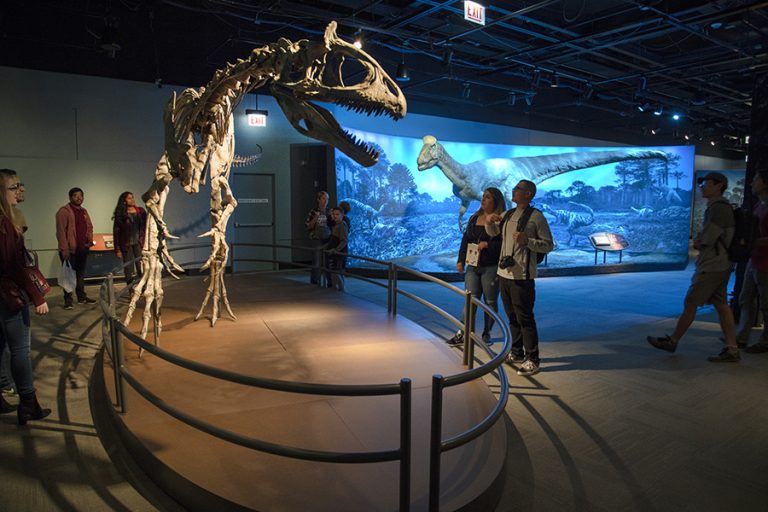 Exhibitions - The Witte Museum