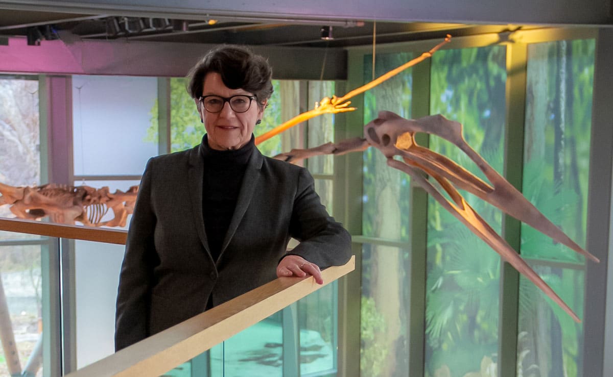 Marise McDermott announces she will step aside from the position of ...