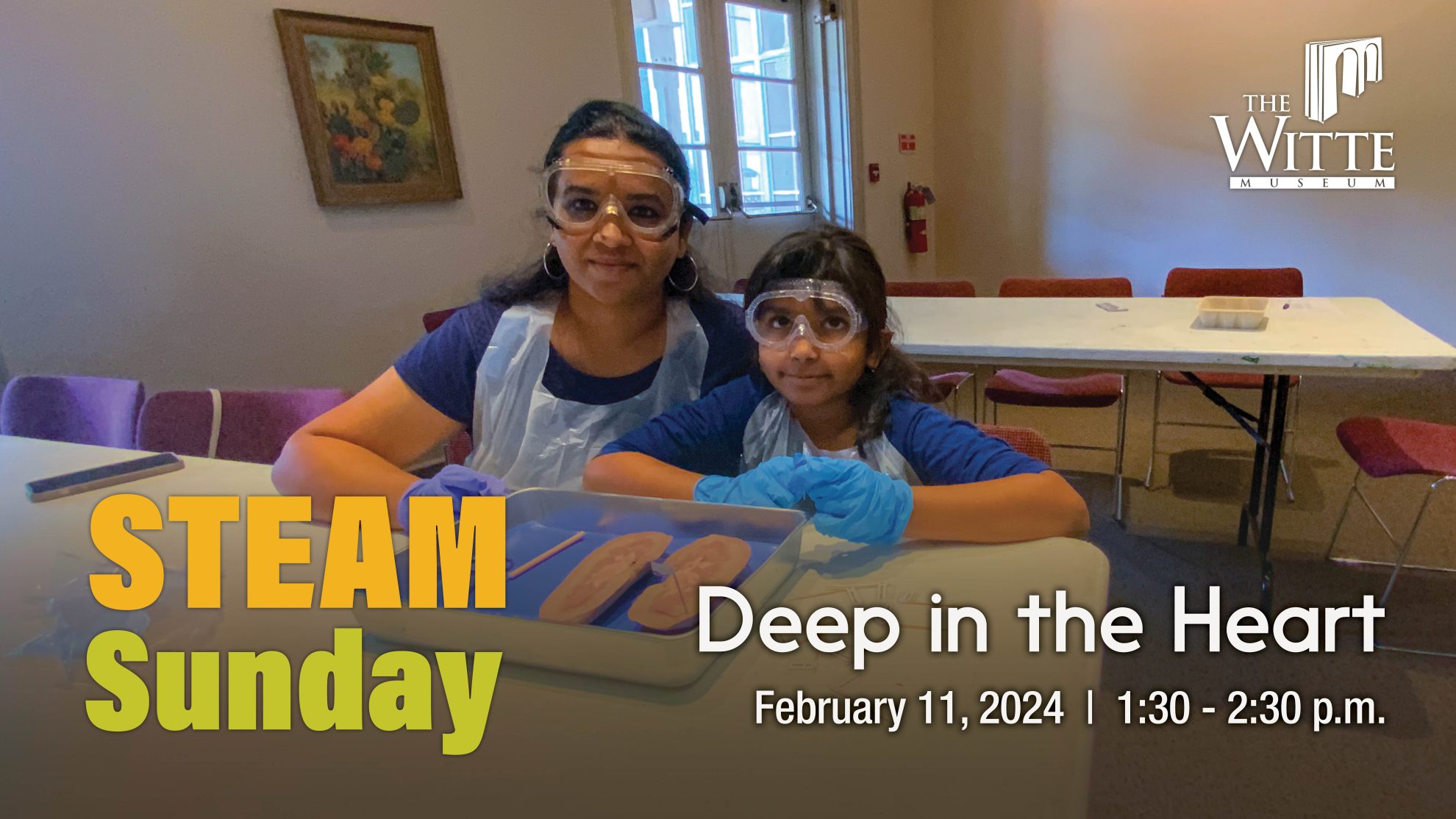 STEAM Sunday: Deep In The Heart - The Witte Museum