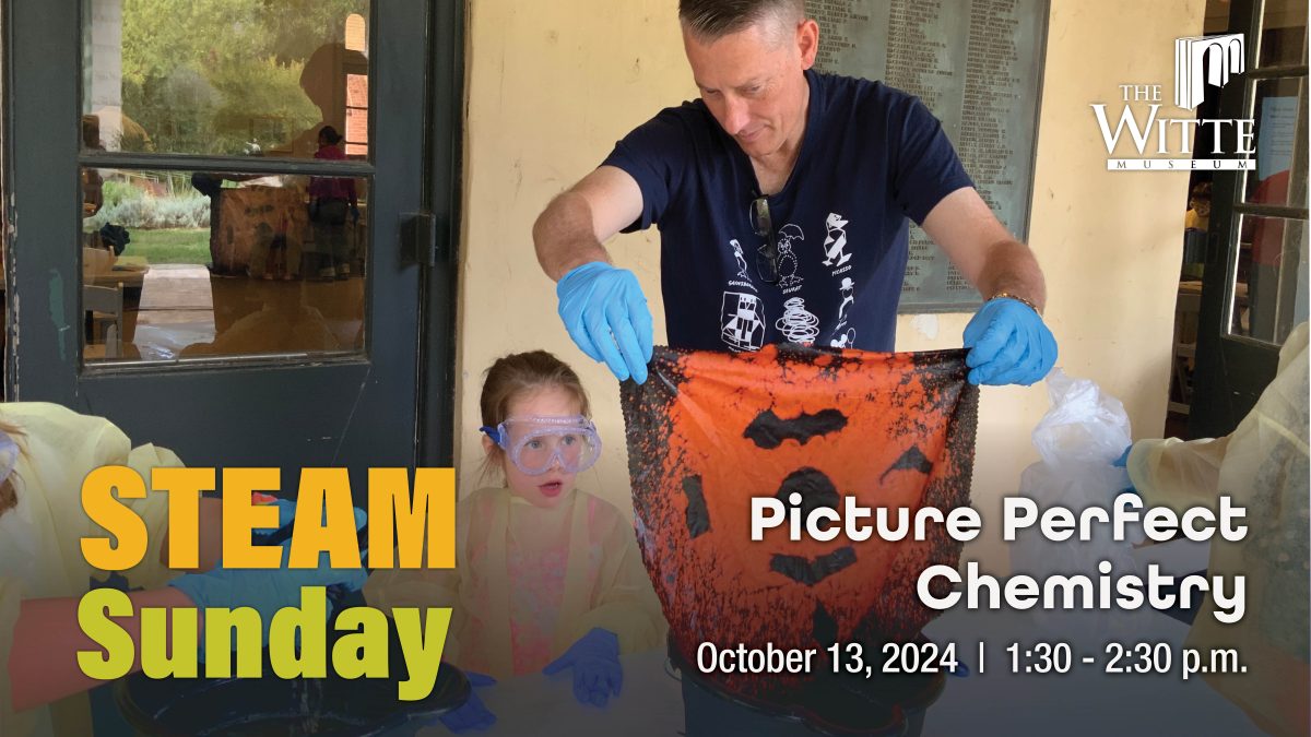 STEAM Sunday - The Witte Museum