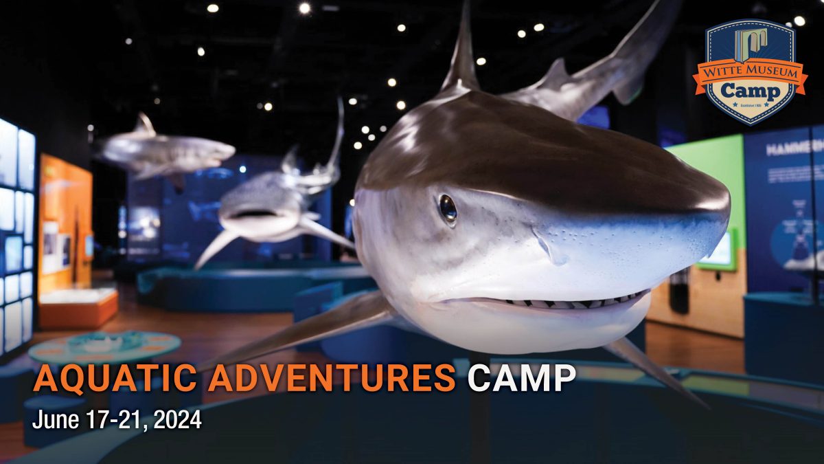 Camp Information - The Witte Museum