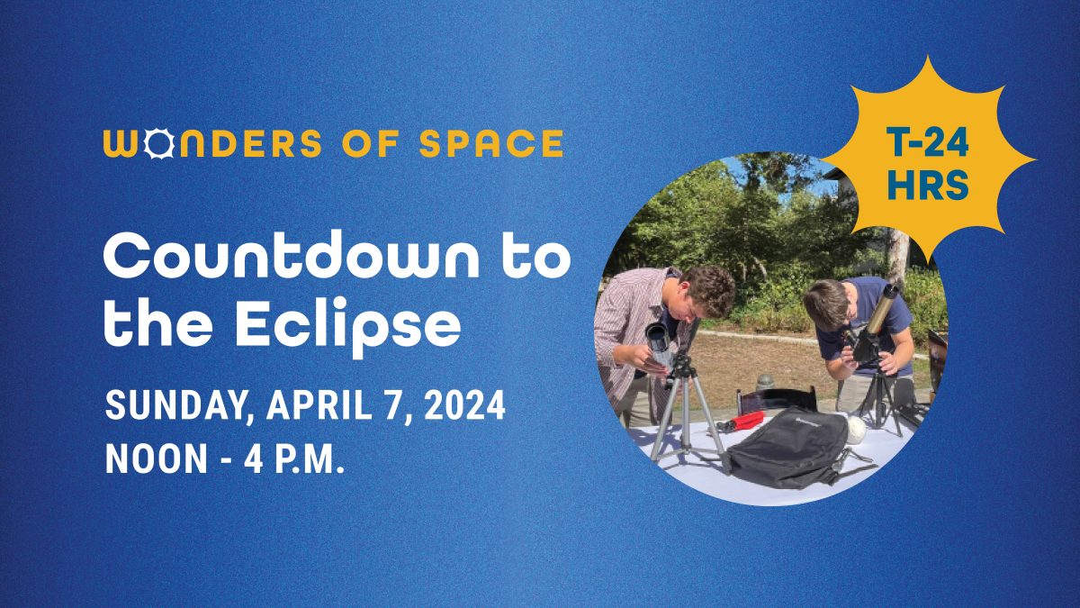 Countdown to the Eclipse: T-24 HRS - The Witte Museum