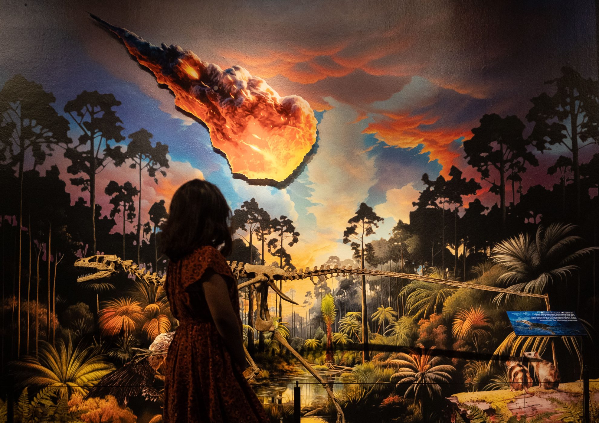 Surviving Space: Astronauts & Asteroids - The Witte Museum