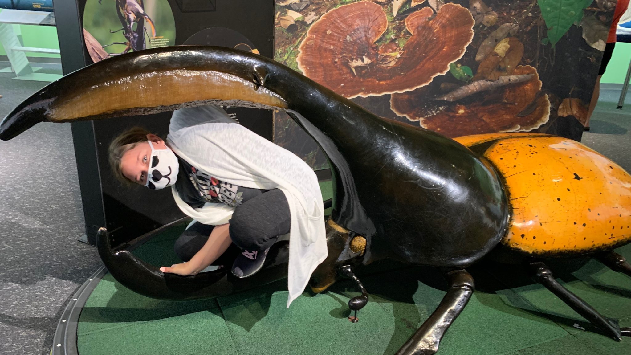 Meet a Member: Naomi Gabriel and Clara Sankey - The Witte Museum