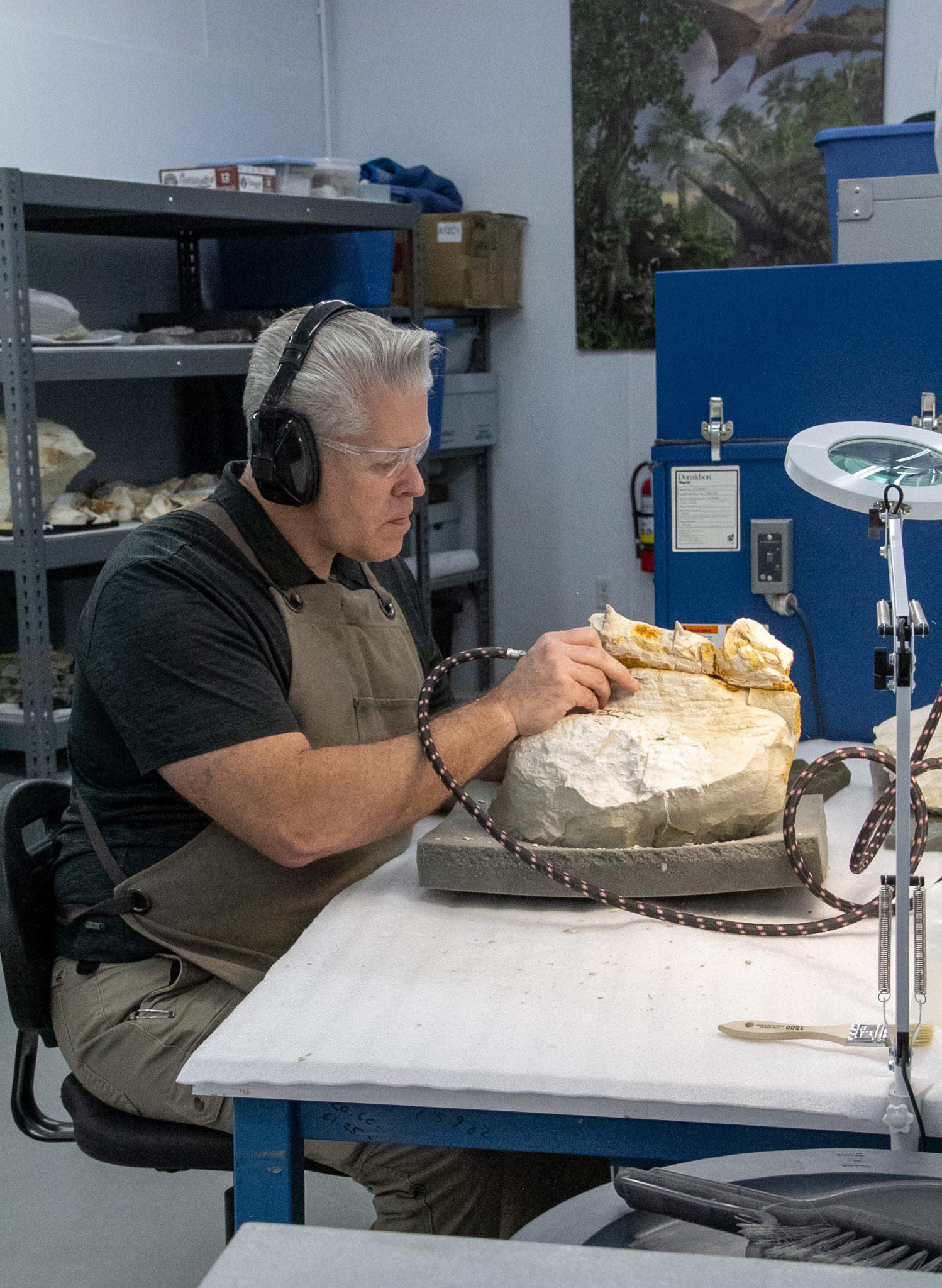 Behind the Scenes - The Witte Museum