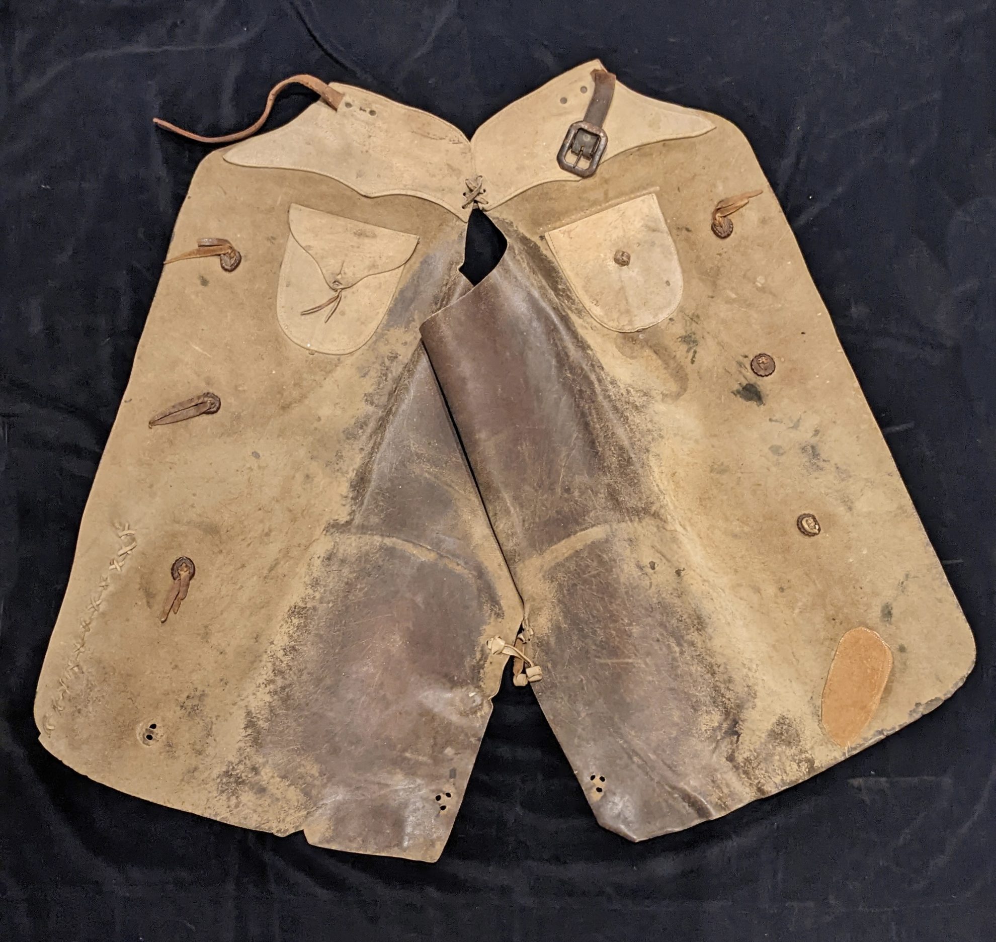 Texas Brush Country and Vaqueros - The Witte Museum