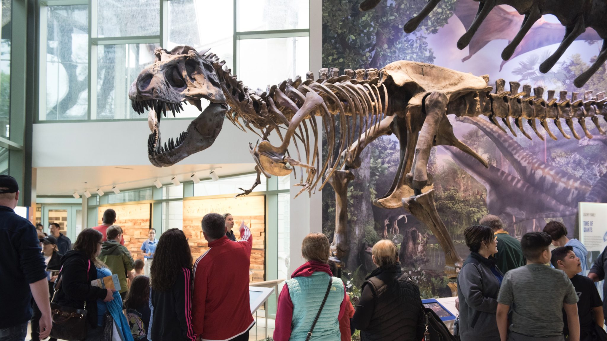 Get to Know AMNH 5027 - The Witte Museum