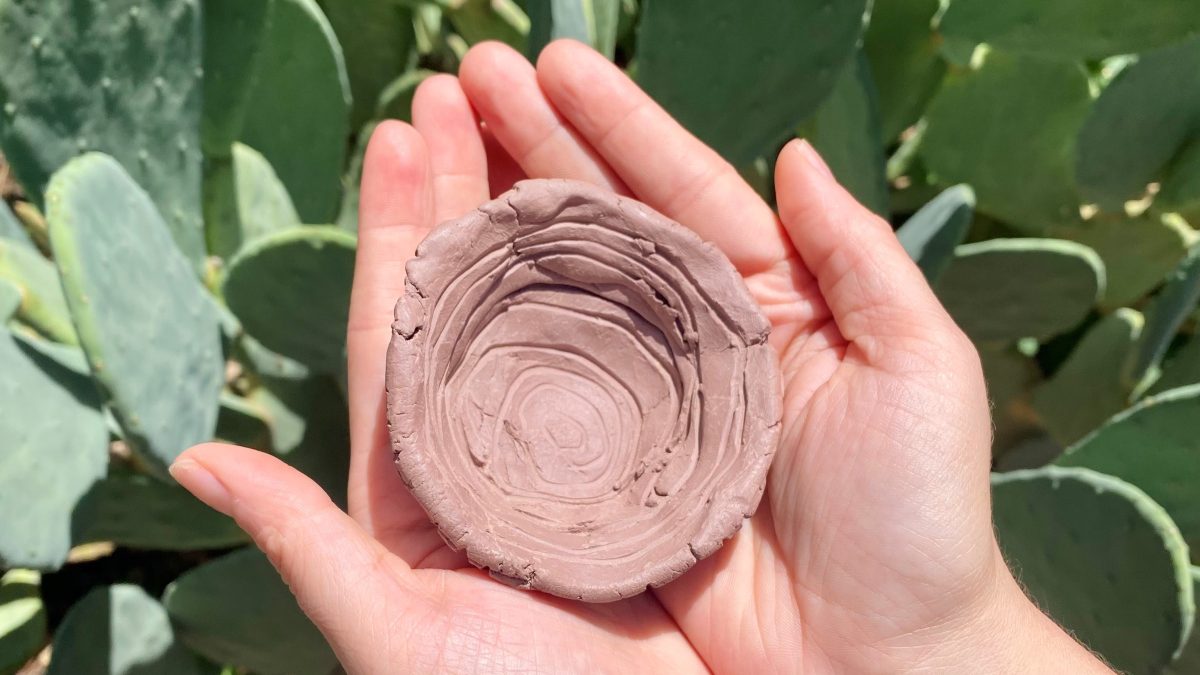 Pinch Pot Kit Giveaway - The Witte Museum