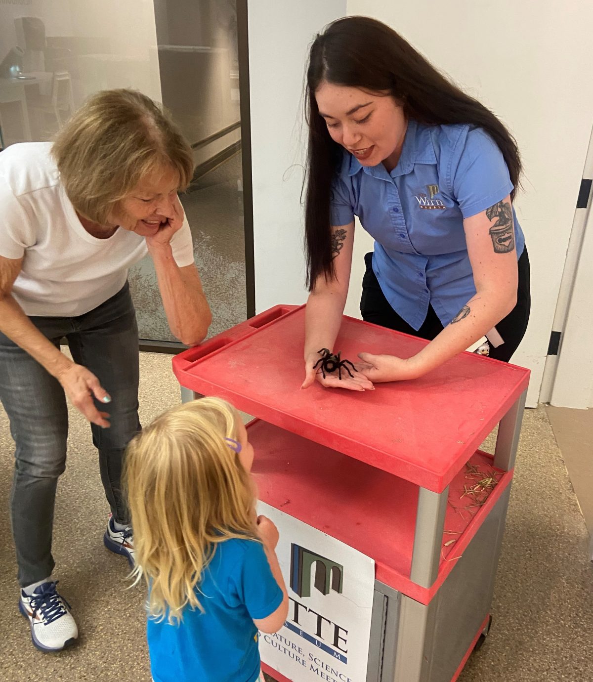 Saturday with a Scientist: Tarantula Talks - The Witte Museum