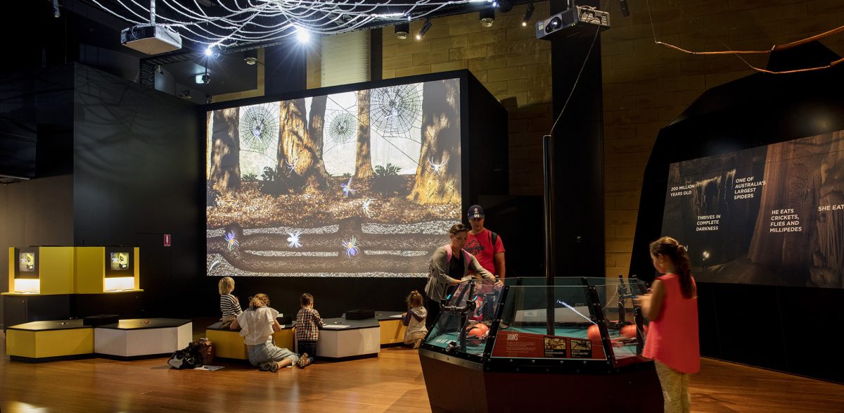 Homeschool Day: Arachnids Around Us - The Witte Museum