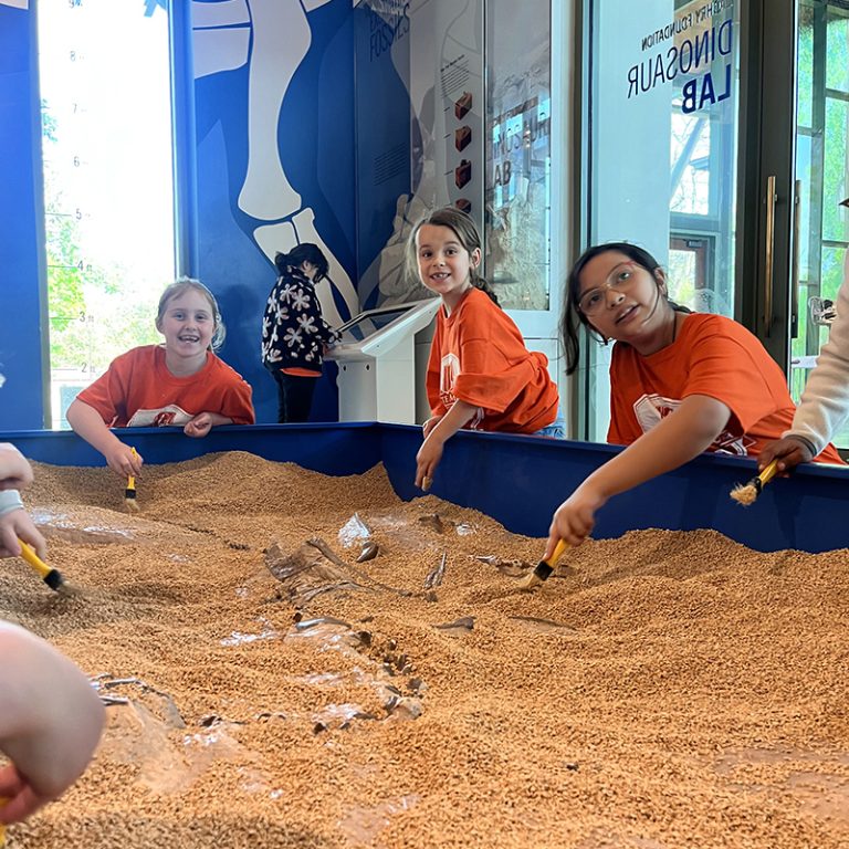 Camp Information - The Witte Museum