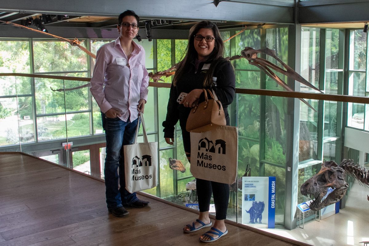 ¡Más Museos! Museum Day for Educators - The Witte Museum