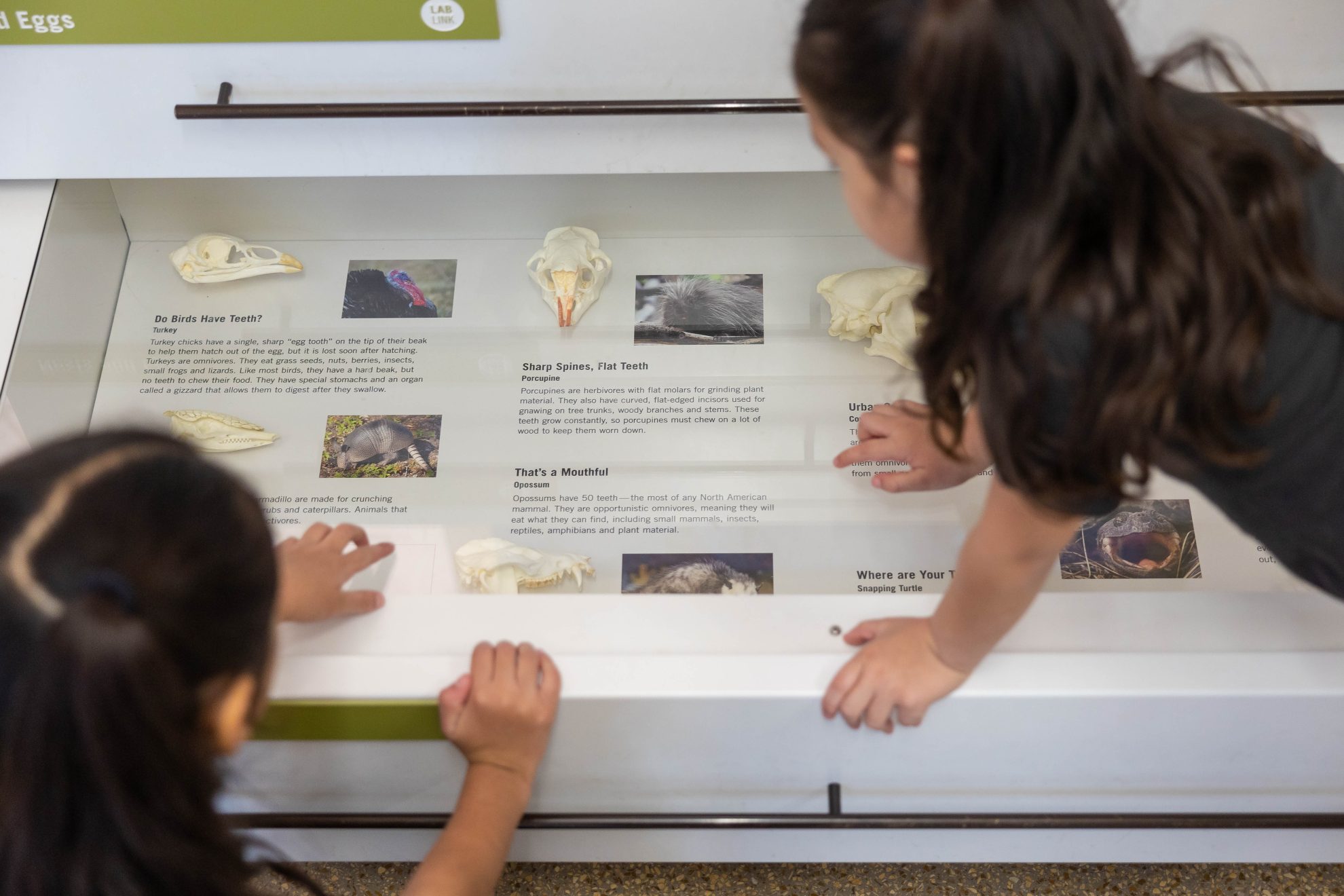 Homeschool Day: Back to School - The Witte Museum